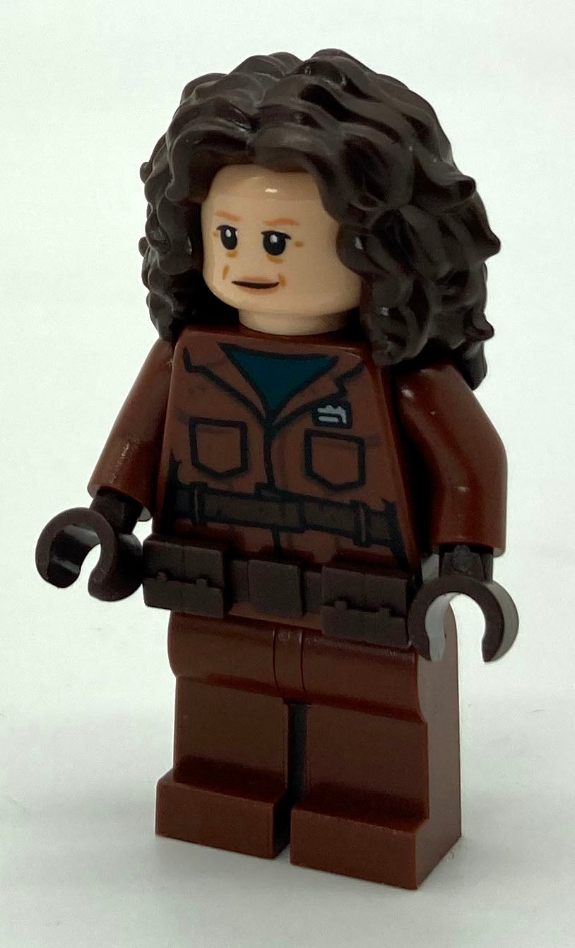 Peli Motto – Bricks & Minifigs Littleton